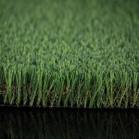 China Garden Beautiful Polyethylene Grass Landscape Oil Painting 4 Colors Available for sale
