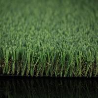 China Four Green Colours	Plastic Lawn Grass / Plastic Green Grass Mat ISO9001 for sale