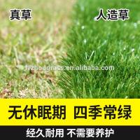 China 40mm Artificial Golf Grass Landscape Synthetic Green 16800turfs Every Sqm for sale