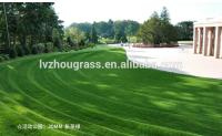 China 40mm Artificial Golf Grass Landscape Synthetic Green 16800turfs Every Sqm for sale