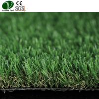 China Green Forever Garden Synthetic Turf Field / False Garden Plastic Grass for sale
