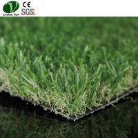 China Laying Outdoor Synthetic Grass Plant Wall Synthetic Plastic Material for sale