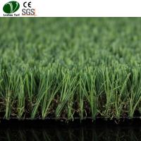 China Durable Houses Indoor Grass Mat / Synthetic Green Plastic Grass Door Mats for sale