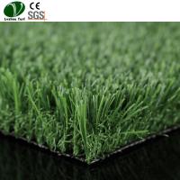 China Sports Synthetic Grass Field From Calcetto for sale