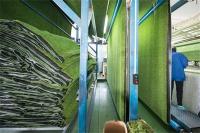 China 30mm Artificial Grass Landscaping / Synthetic Turf Grass 3 Colors Available for sale
