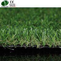 China Synthetic Plastic Wall Grass Artificial Outdoor 25mm Pile Height PE PP for sale