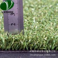China Fake Landscape Indoor Grass Mat / Plastic Floor Always Green Synthetic Turf for sale