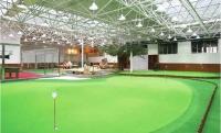 China Fake Landscape Indoor Grass Mat / Plastic Floor Always Green Synthetic Turf for sale