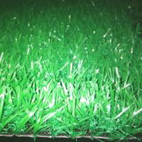 China 20mm Artificial Grass Landscaping For Front Garden Yards Terrace Residential for sale