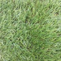 China Anti Pet Friendly Fake Lawn / Dog Friendly Turf for sale