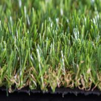 China Anti UV Pet Friendly Fake Lawn 20mm Artitical Synthetic Ornamental for sale