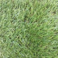 China Fireproof Pet Friendly Fake Lawn / Artificial Outdoor Artificial Turf For Dogs for sale