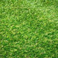China Shop Decoration Indoor Grass Mat Floor Wall Covering CE SGS Approved for sale