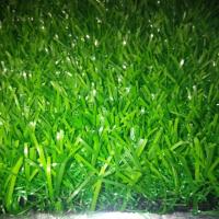 China 35mm Blue Artificial Turf For Swimming Pool UV Resistance for sale