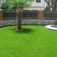 China Beautiful 25mm Artificial Grass Front Garden Decoration Intense Usage for sale