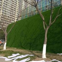 China Plastic Green Artificial Lawns And Landscaping Wall Landscaping Decoration for sale