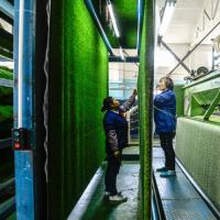 China Water Free Artificial Grass Yarn Wall Terrace Garden for sale