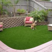 China Eco Friendly Trugrass Pets Turf Animal Mat Safe For Dogs CE SGS Standard for sale