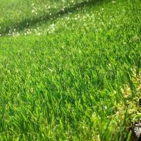 China Artificial Turf Grass Home Outward Kids Playing 100 Percent Permeable for sale