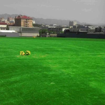 China Single Green Pet Friendly Fake Lawn / Outdoor Artificial Grass For Dogs for sale