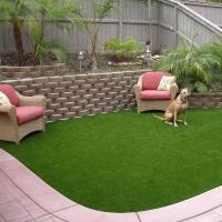 China Single Green Pet Friendly Fake Lawn / Outdoor Artificial Grass For Dogs for sale