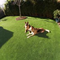 China Pet Friendly Artificial Grass No Harm To People Personal Villa Different Pile Height for sale