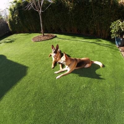 China Pet Friendly Artificial Grass No Harm To People Personal Villa Different Pile Height for sale