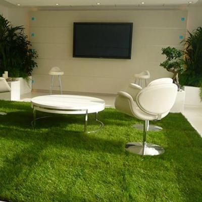 China High Ranking Residential Fake Grass Flat Shape Permeable Office Decorative for sale