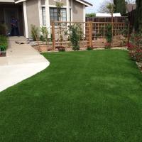 China Evergreen Anti Uv Natural Garden Synthetic Turf For Your Shop Building Surroundings for sale