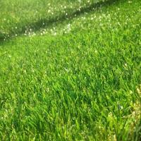 China Strong Wearable Artificial Grass Indoor Decoration Reclyced Plastic Long Time for sale