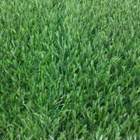 China Safe Soft Synthetic Playground Turf Flat Shape UV Proof School Landscaping for sale
