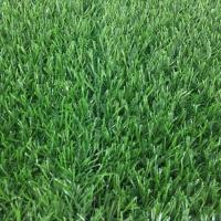 China 20mm Pile Pet Turf Grass For Roof Covering Hotel Outdoor Tile Flooring for sale