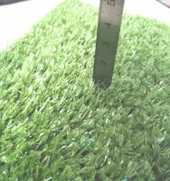 China 8mm Synthetic Grass Carpet Fence Wall Decoration  52500tufts Every Sqm for sale