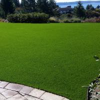 China Fake Artificial Grass Carpet / Fake Grass Rug Outdoor Indoor 4*25m 2*25m for sale