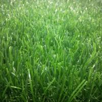 China Soft PE PP Outdoor Fake Grass For Yard Free Sample Customized Acceptale for sale