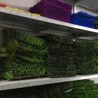 China Indoor Outdoor Grass Rugs Single Layer Backing Landscaping Ornamental for sale