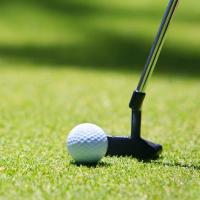 China 15mm Artificial Grass Putting Green Suitable For House Hotel Place CE SGS Certified for sale