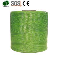 China Flat Filament Grass Yarn Synthetic High Strength Tensile Color Customized for sale