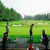 China Indoor Outdoor Grass 25mm Pile Heght 9000 Dtex Anti Ultraviolet 1mm Width for sale