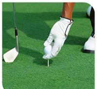 China Tennis Court Golf Green Turf Grass Younger Loving Artificial Green Swad for sale
