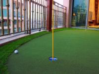China Tennis Court Golf Green Turf Grass Younger Loving Artificial Green Swad for sale