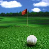 China 15mm Artificial Backyard Putting Green Synthetic Gym Flooring Residential for sale