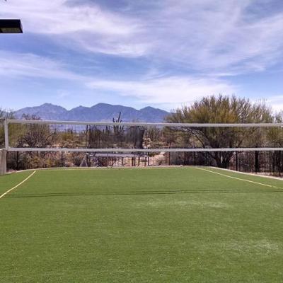 China 15mm Bio Color Plastic Artificial Putting Grass For Tennis Volleyball Court Cage for sale