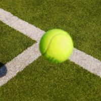 China Green Sports Field Artificial Golf Grass Roll 15mm Pile Height 5000D Dtex for sale