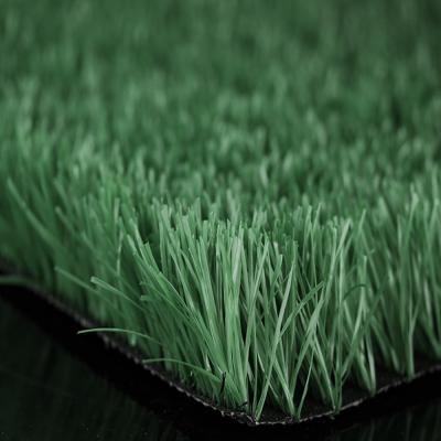 China Cesped Football Synthetic Grass For Soccer Stadium for sale