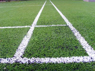China Sport Hard Wearing Artificial Grass White 50mm  PP PE Fabric Material for sale