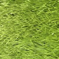 China Filling Turf Sports Football Synthetic Grass 50mm Pile Or Size Customized for sale