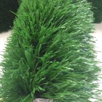 China Synthetic Eco Artificial Grass Football Outdoor 6 - 10 Years Warranty for sale