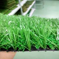 China Field Football Indoor Grass Mat For Gym / Mini Soccer Synthetic Lawn Turf for sale