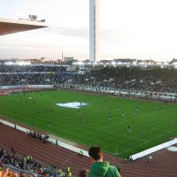 China Synthetic Artificial Grass Soccer Field / Green Fake Artificial Grass Carpet for sale